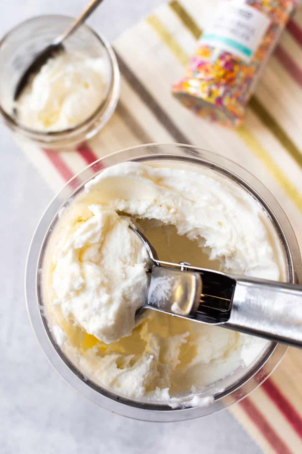 Cottage Cheese Ice Cream (Ninja Creami Recipe) - Easy Cheesy Vegetarian
