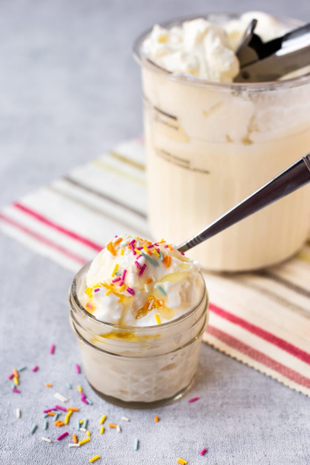 Cottage Cheese Ice Cream (Ninja Creami Recipe) - Easy Cheesy Vegetarian